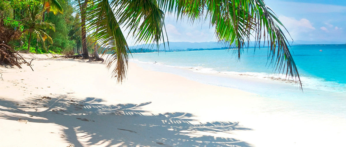 Automatic (APAP) Devices – SIESTA SLEEP BETTER